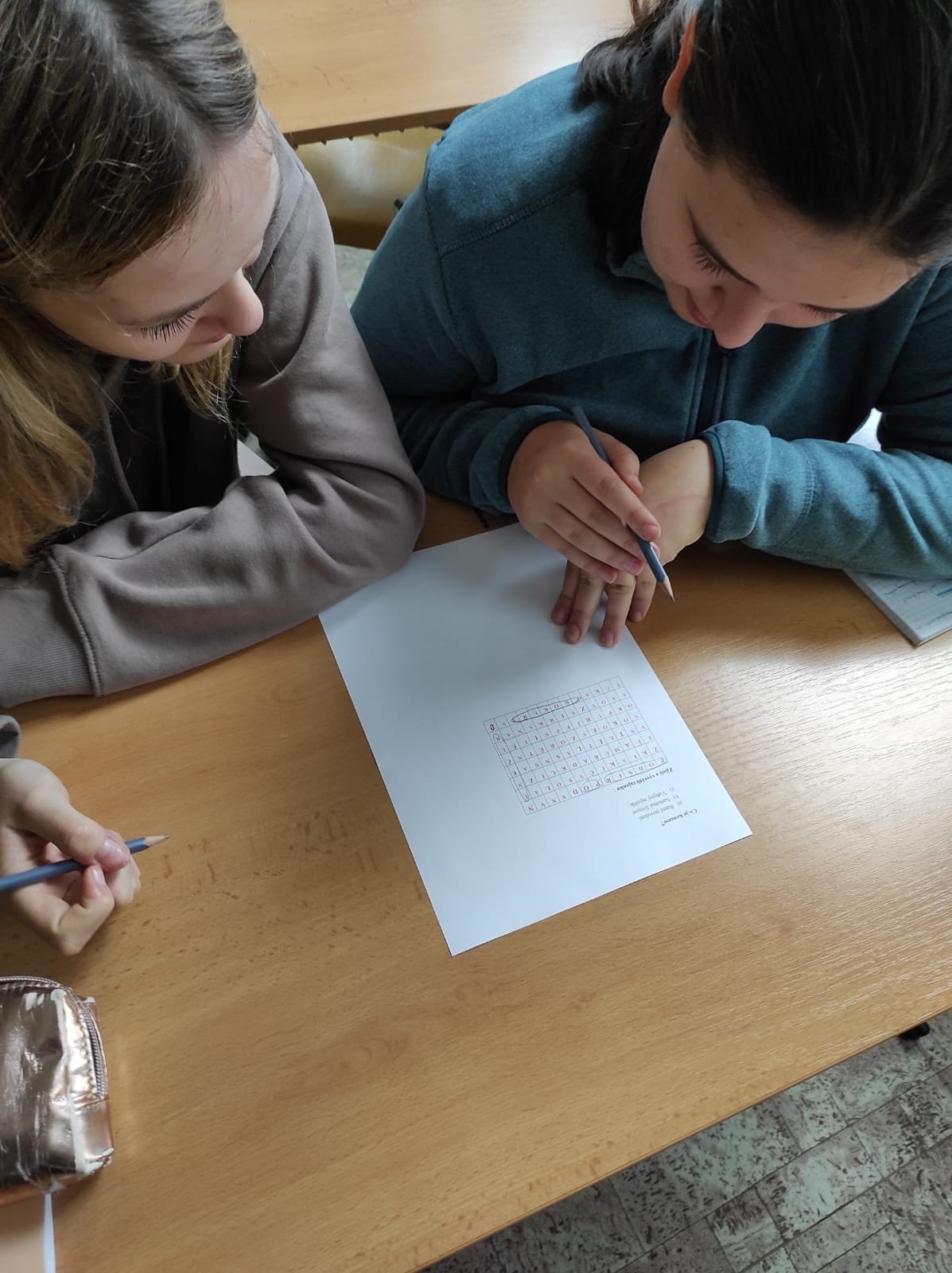 Projekt Vz jemn ho U en Obchodn Akademie P bram